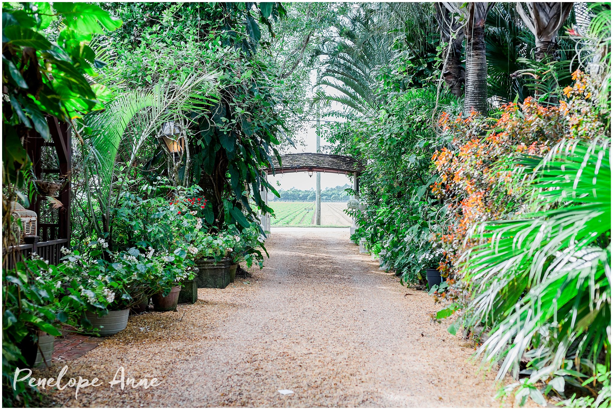 The Walton House : MIami Wedding Photographer